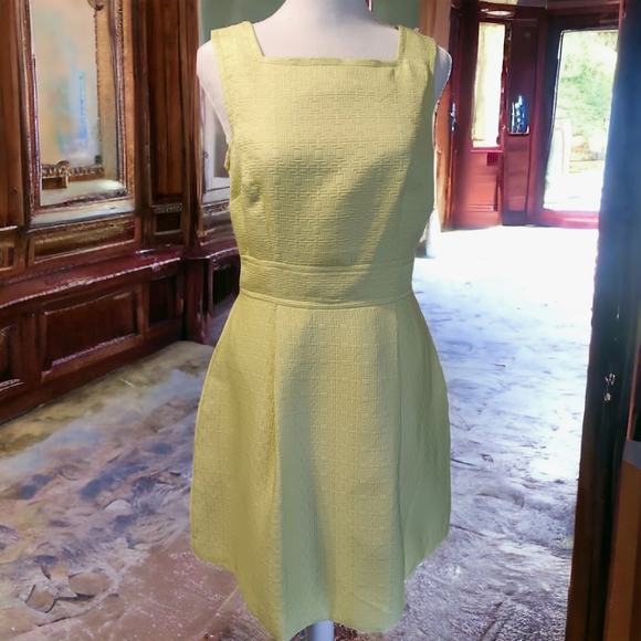 Heidi Weisel | Dresses | Heidi Weisel Fit Flaregreen Sleeveless ...